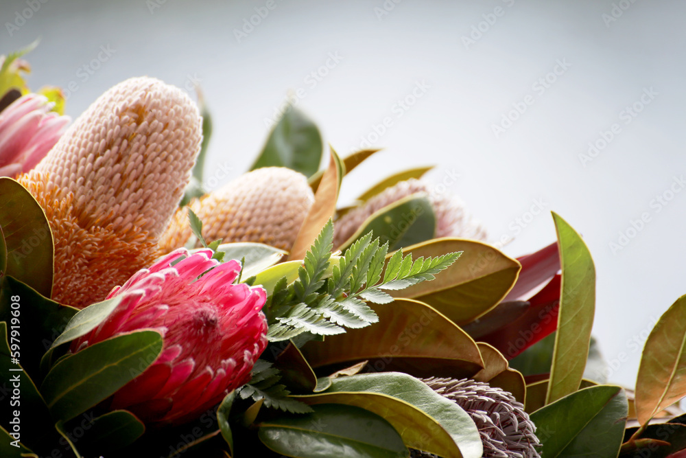 Australian native flowers for funeral with include Banksias, protea and ...