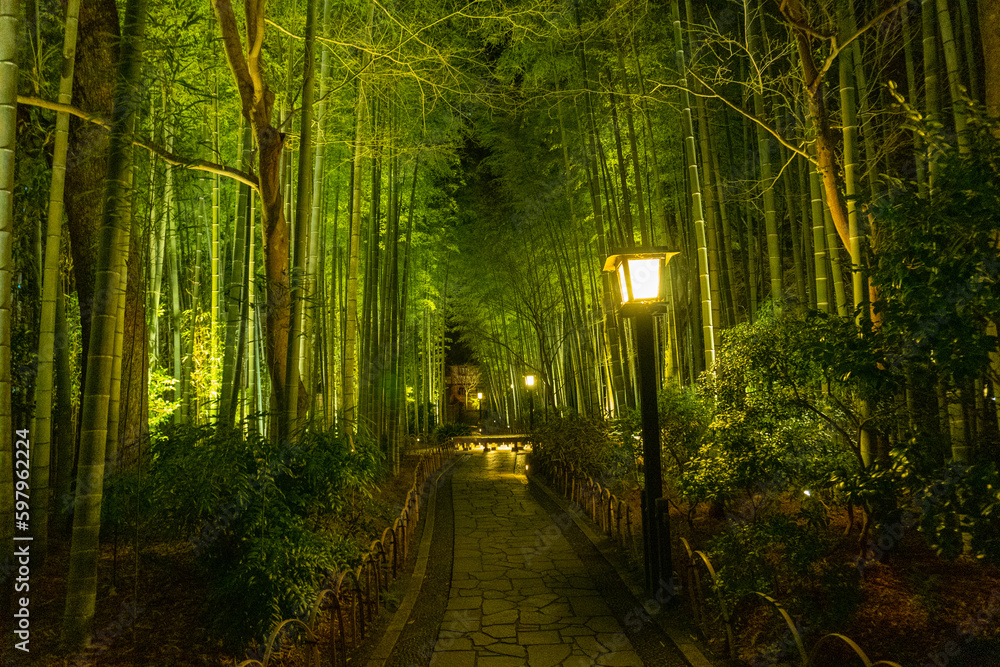 Bamboo forest path in Shuzenji, izu, Japan Stock Photo | Adobe Stock