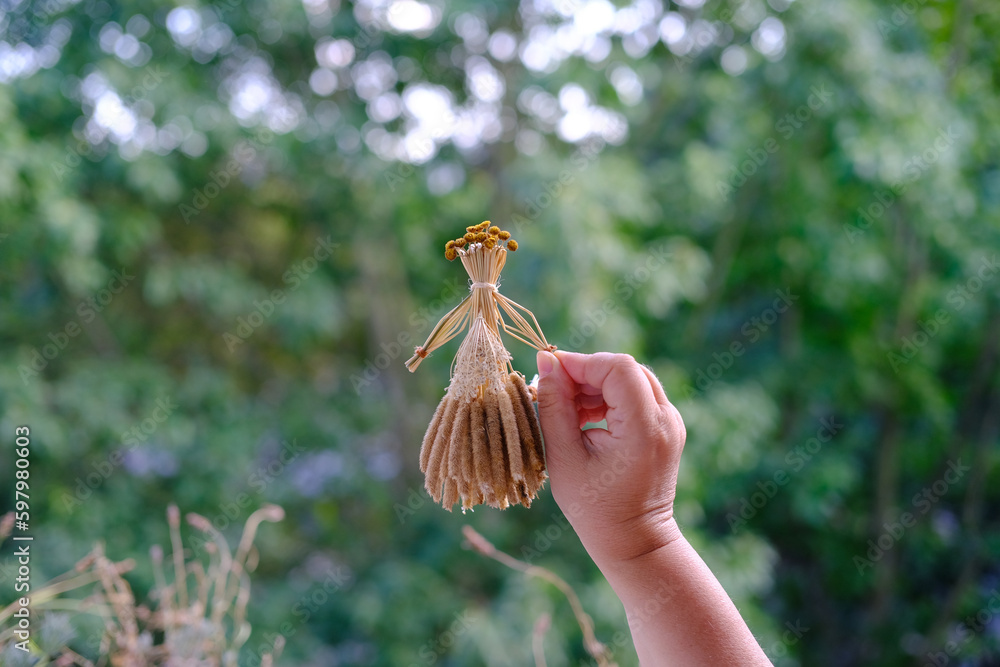 female hands holds ritual doll made of straw, grass in honor rich ...