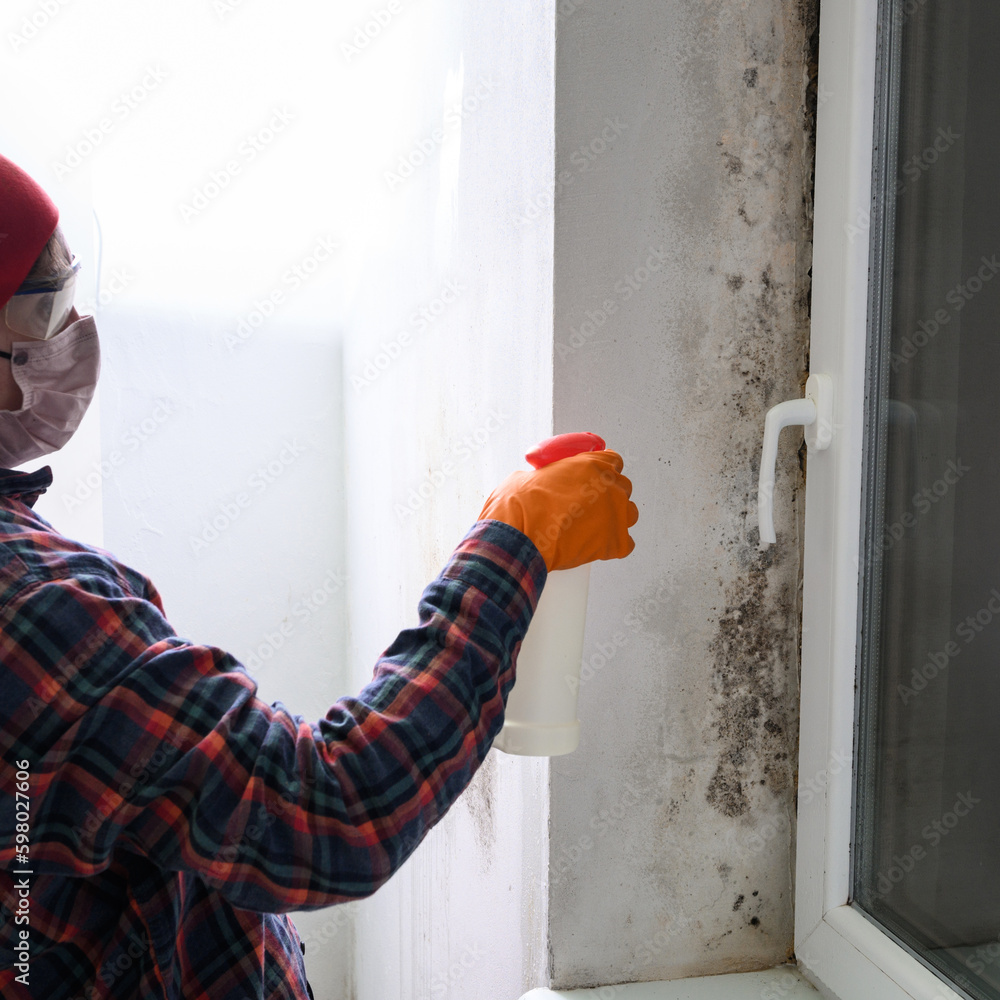 Mold and fungus on a plastic window, a woman removes mold on a window ...