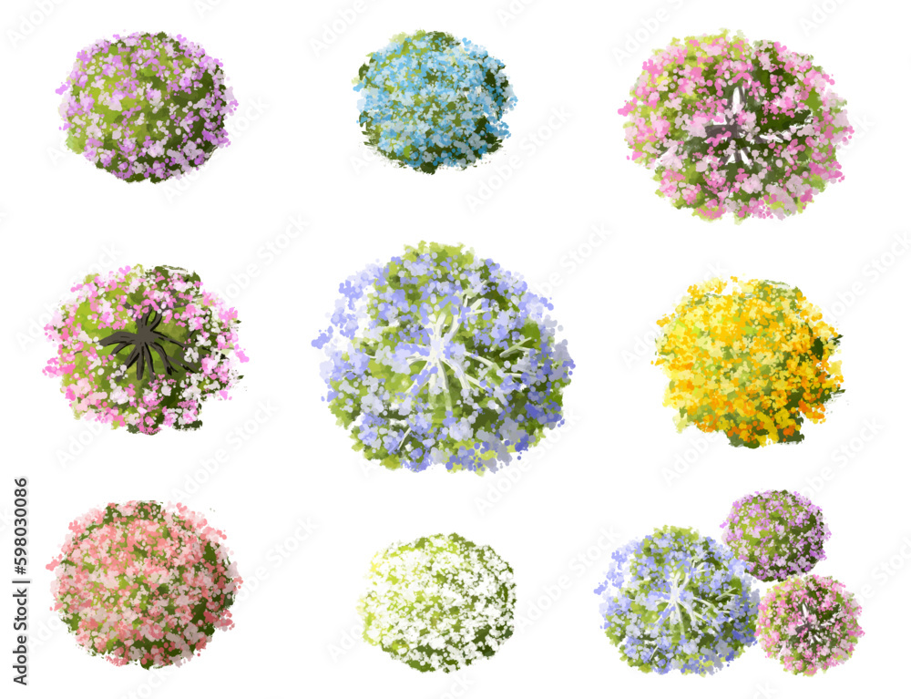 Vector watercolor of blooming tree top view isolated on white ...