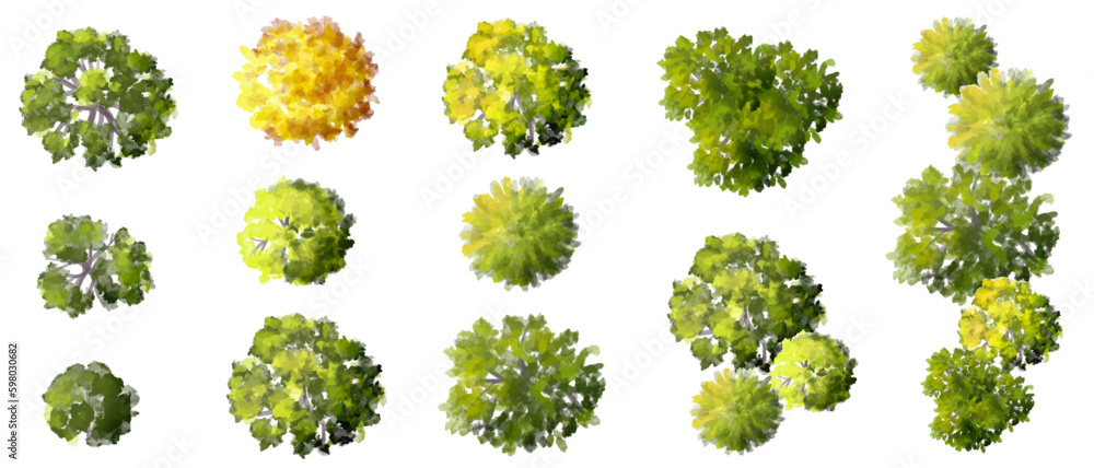 Vector watercolor of blooming tree top view isolated on white ...