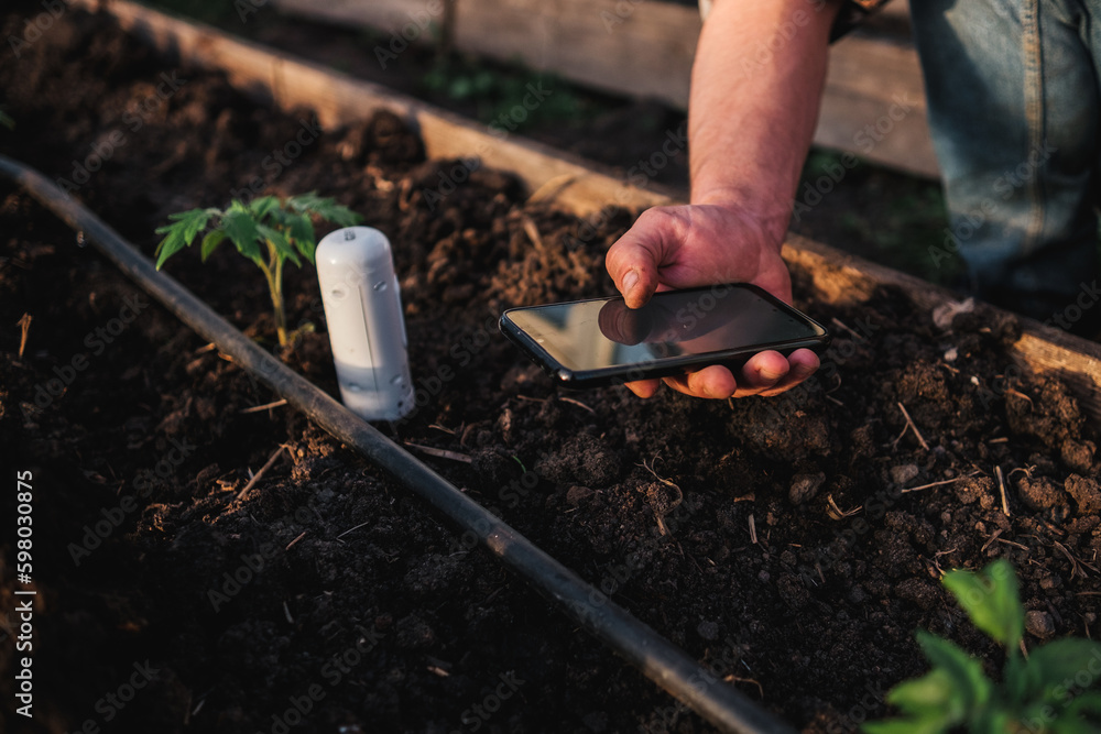Gardener using mobile app checking monitoring soil moisture with ...