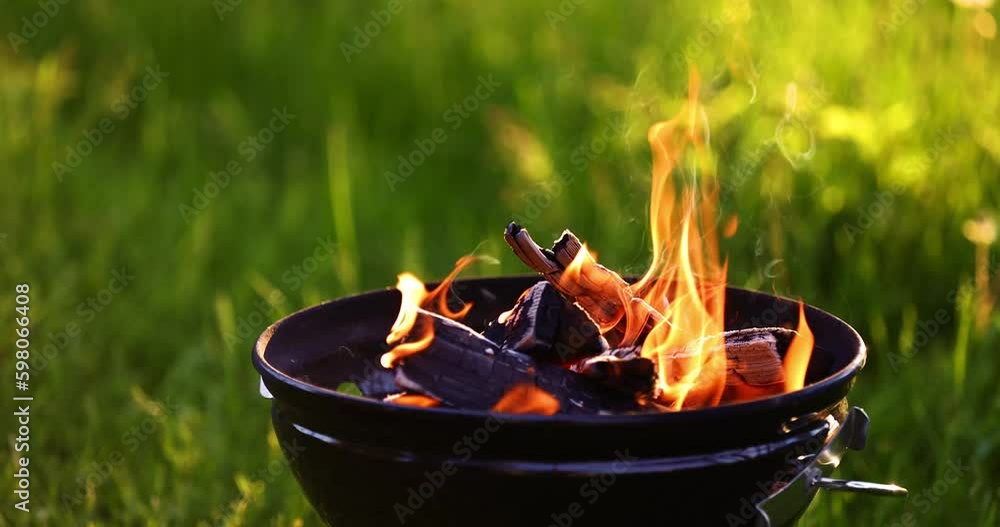 Barbecue Grill with Fire on Open Air. Fire flame Stock Video | Adobe Stock