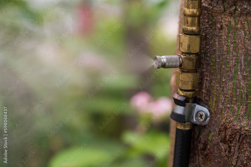 Sprinklers splashing vaporized water on the tree to cool the hot summer ...