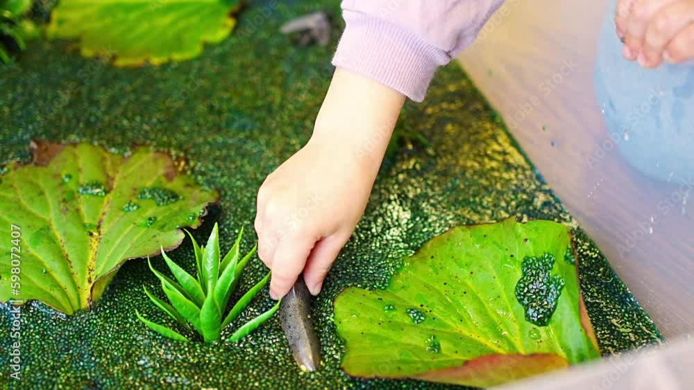 Little girl playing in handmade swamp of green-dyed chia seeds with ...
