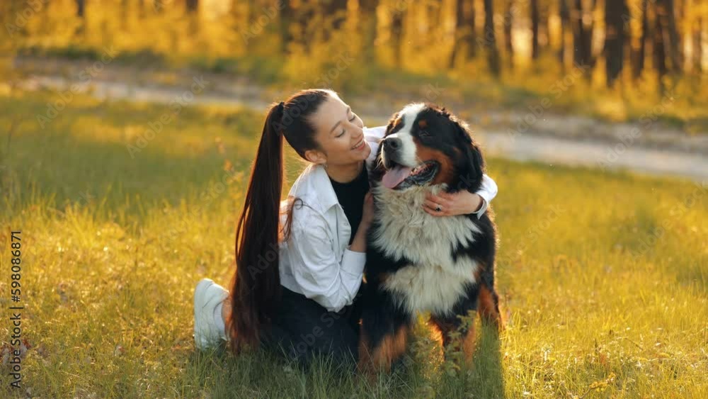 Bernese Mountain Dog (Bernese Mountain Dog) Long-haired teenage girl ...
