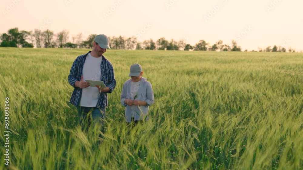 Wideo Stock: Farmer father works with digital tablet in wheat field ...
