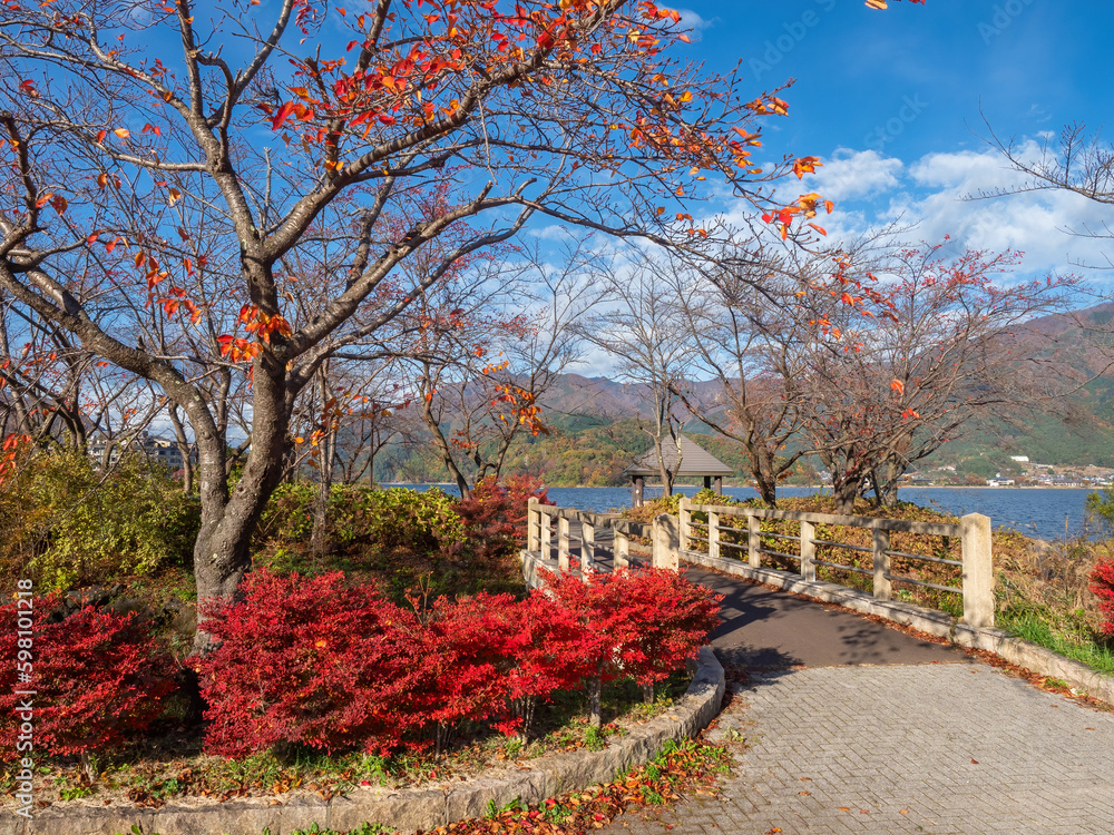 Foto de Autumn in Japan. Lake Kawaguchiko. Fujikawaguchiko region ...