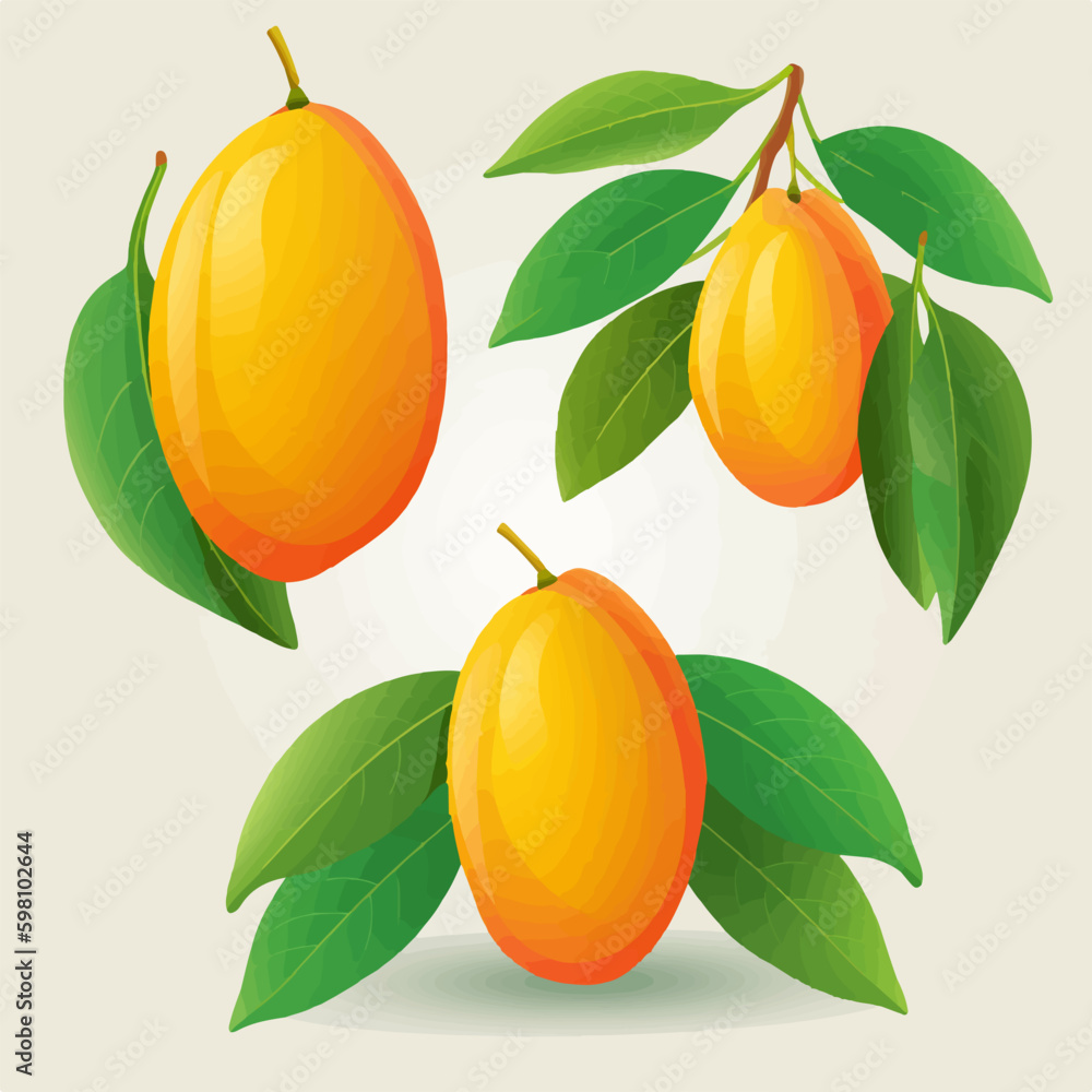 Set of mango vector graphics with a pastel color scheme Stock Vector ...