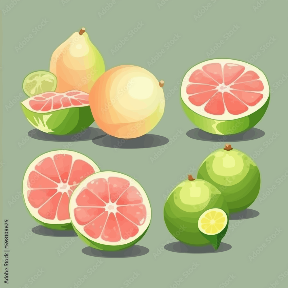 Vibrant and colorful pomelo vector illustrations created in Adobe ...