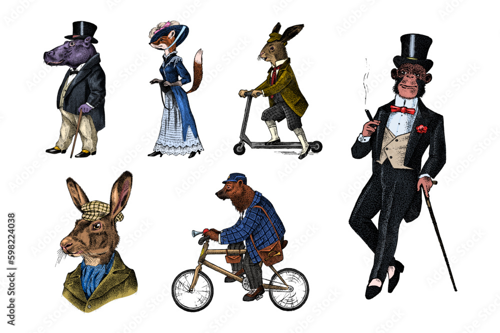 Fashion Dog. Animal characters. Brown bear rides a bike. Fox and monkey ...