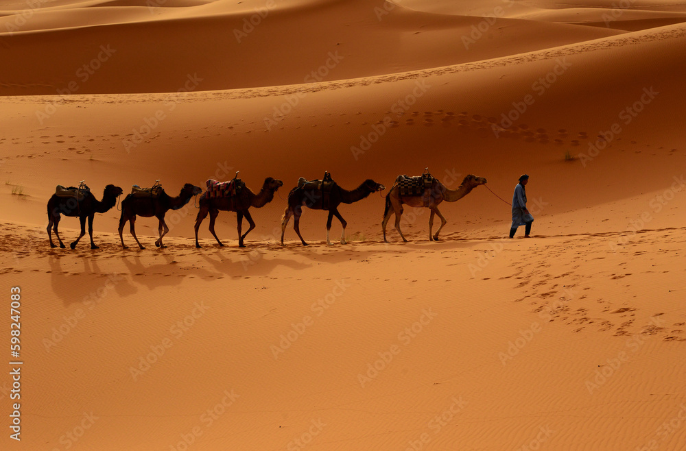 Tuareg with camels walk thru the desert on the western part of The ...