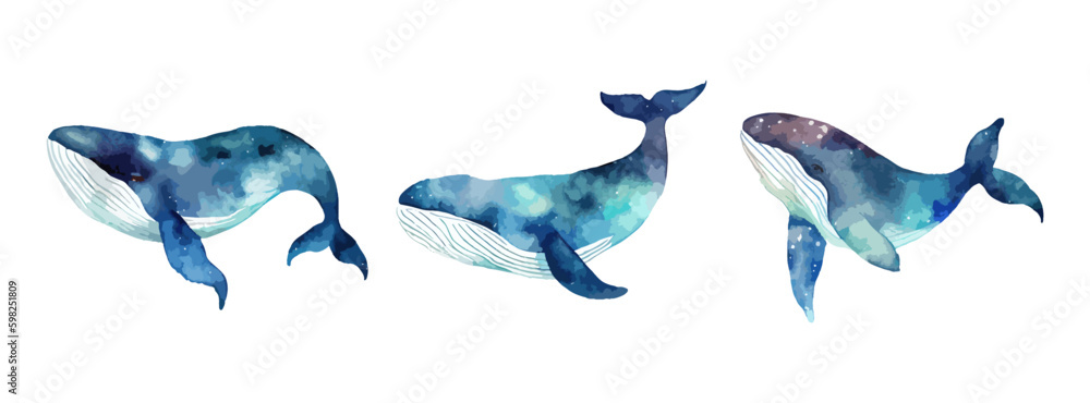 Whale watercolor set isolated on white background. Collection of ...