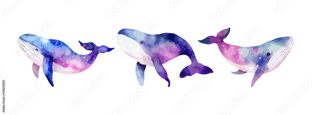 Whale watercolor set isolated on white background. Collection of ...