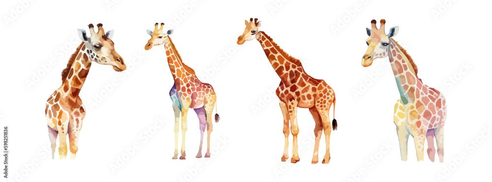 Cute Zoo Animals Clipart