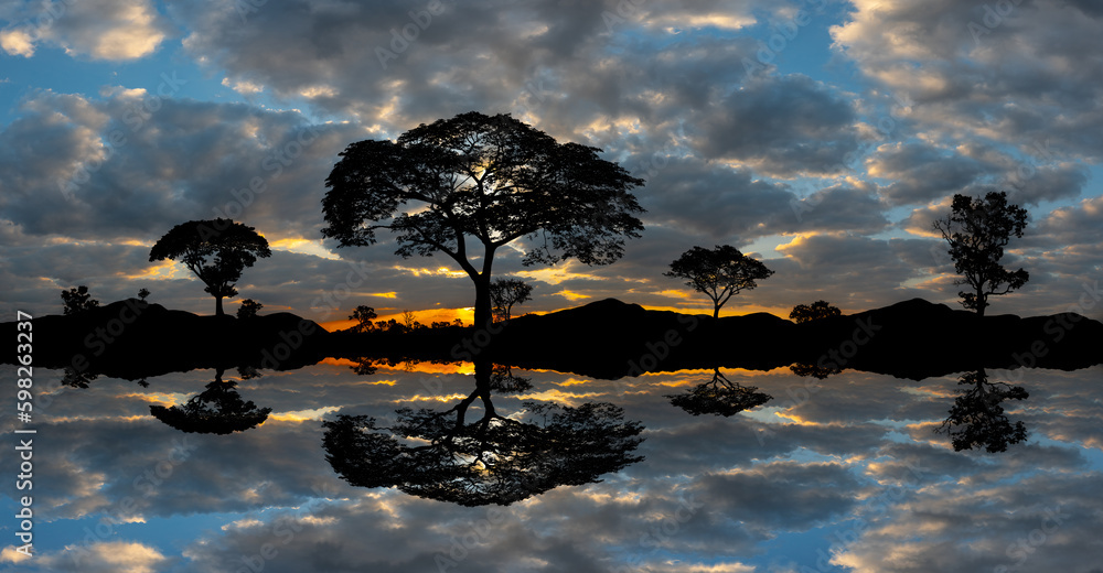 Panorama silhouette tree in africa with sunset.Tree silhouetted against a setting sun reflection ...