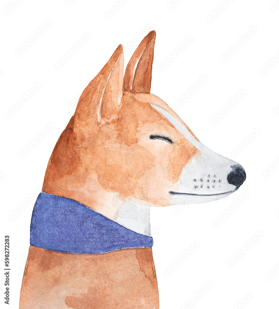 Watercolour illustration of smiling Basenji Dog wearing wide dark ...