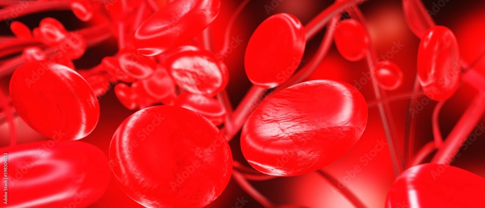 Red blood cells (RBCs), red cells, red blood corpuscles , haematids ...