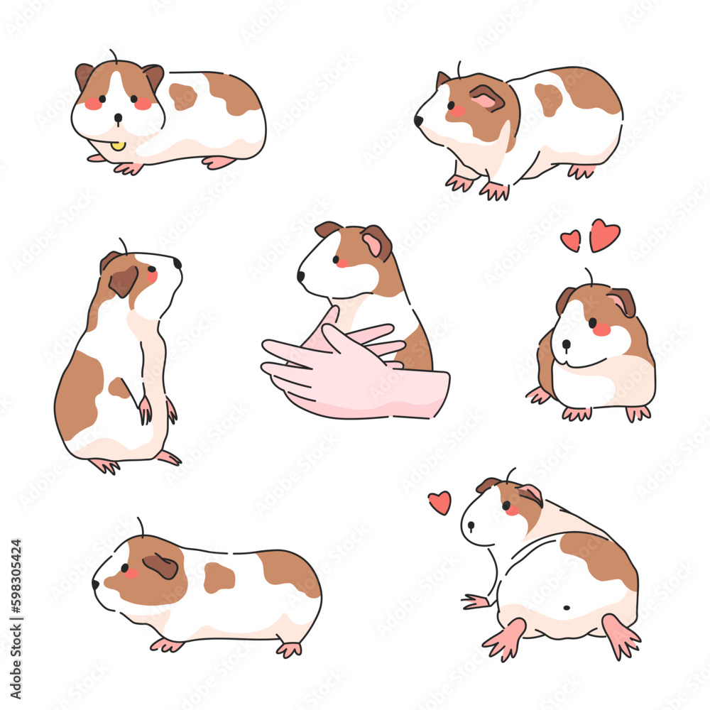 Cute Guinea Pig Poses Cartoon Vector Illustration. Stock Vector | Adobe Stock