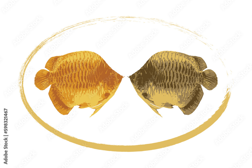 Vetor de Dragonfish or freshwater fish, also known as arowana fish, is ...