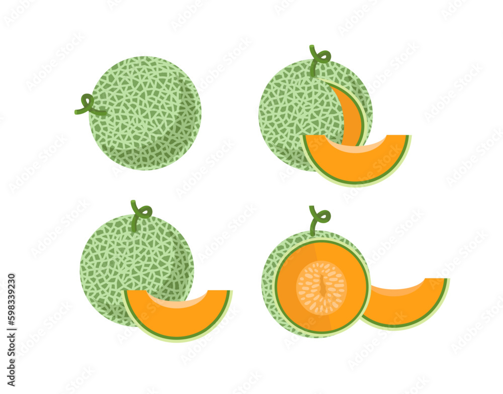 Melon set. Whole, sliced, half of green melon with ogange pulp. vector ...