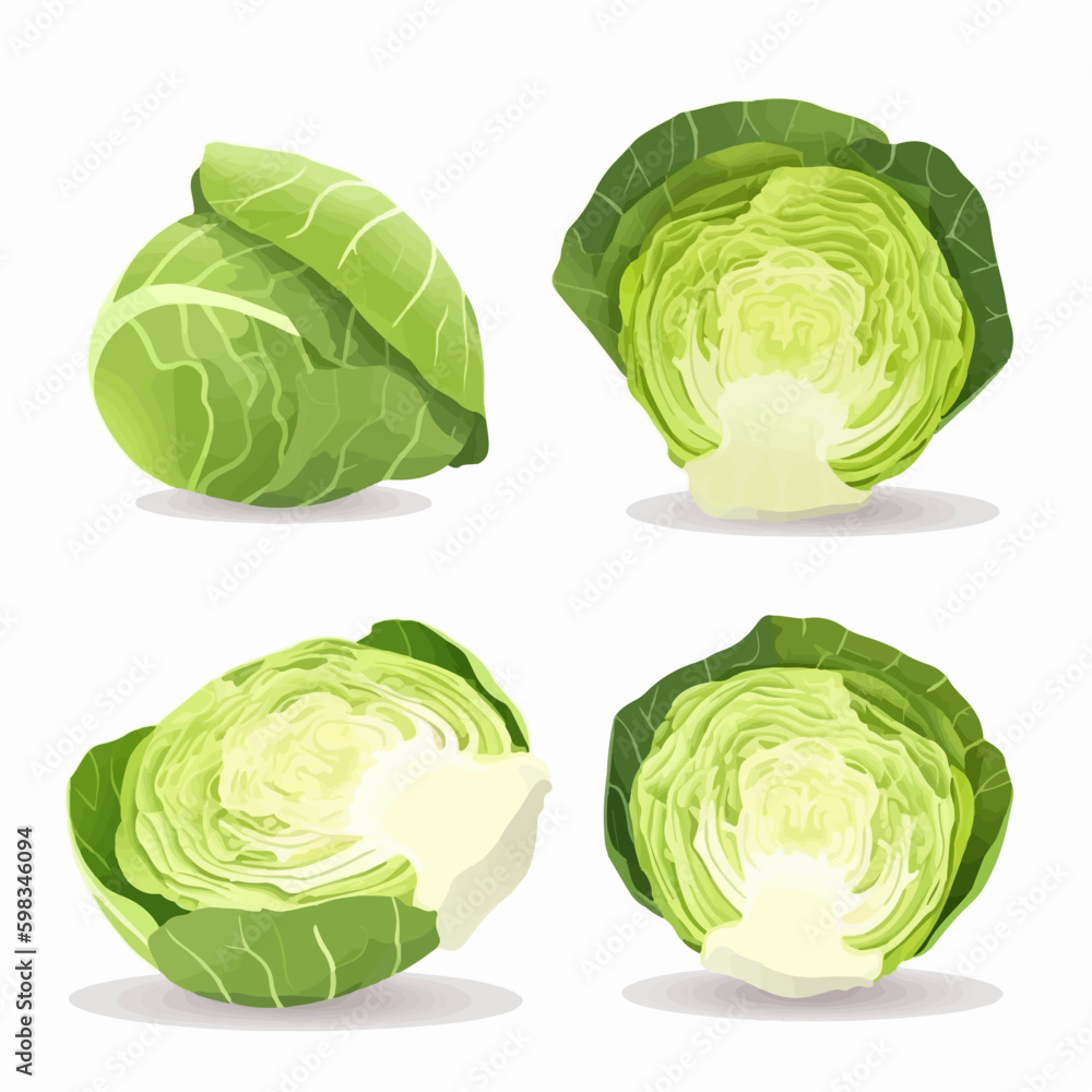Cute and whimsical cabbage and vegetable cartoon collection Stock ...