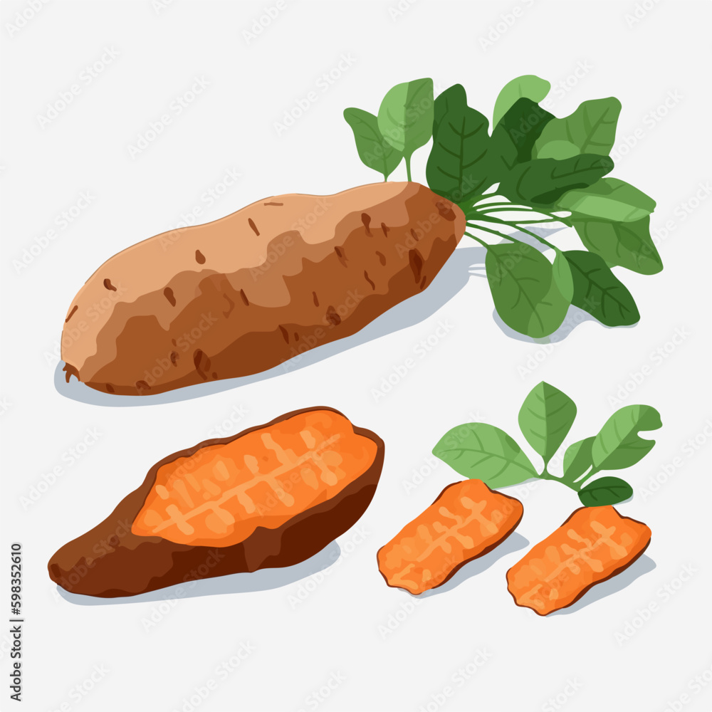 Add an organic touch to your designs with these realistic yam vector ...