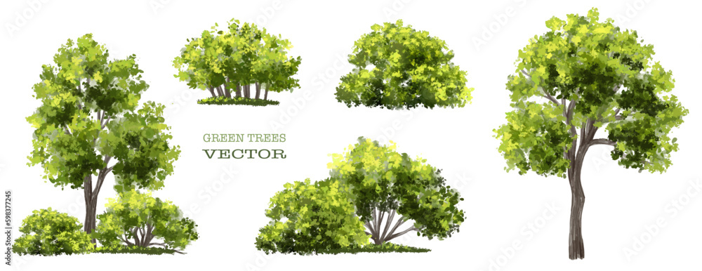 Vector watercolor of tree side view isolated on white background for ...