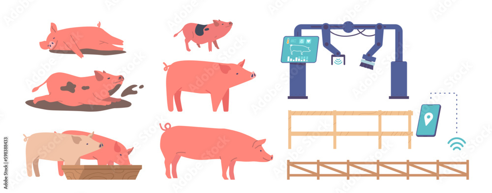 Set Of Pig Livestock Elements Isolated On White Background. Piglets ...