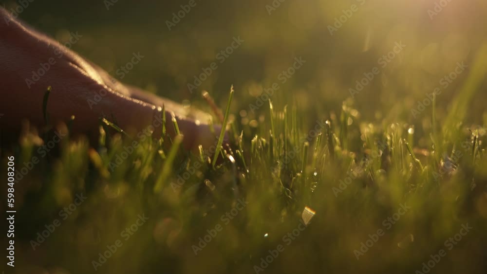 Close up of man fingers touching fresh wet green grass after spring ...