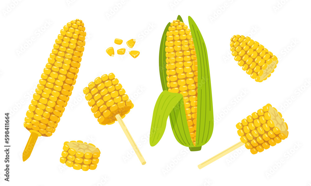 Set of sweet golden corn. Corn on the Cob, grains, cob on the holder ...