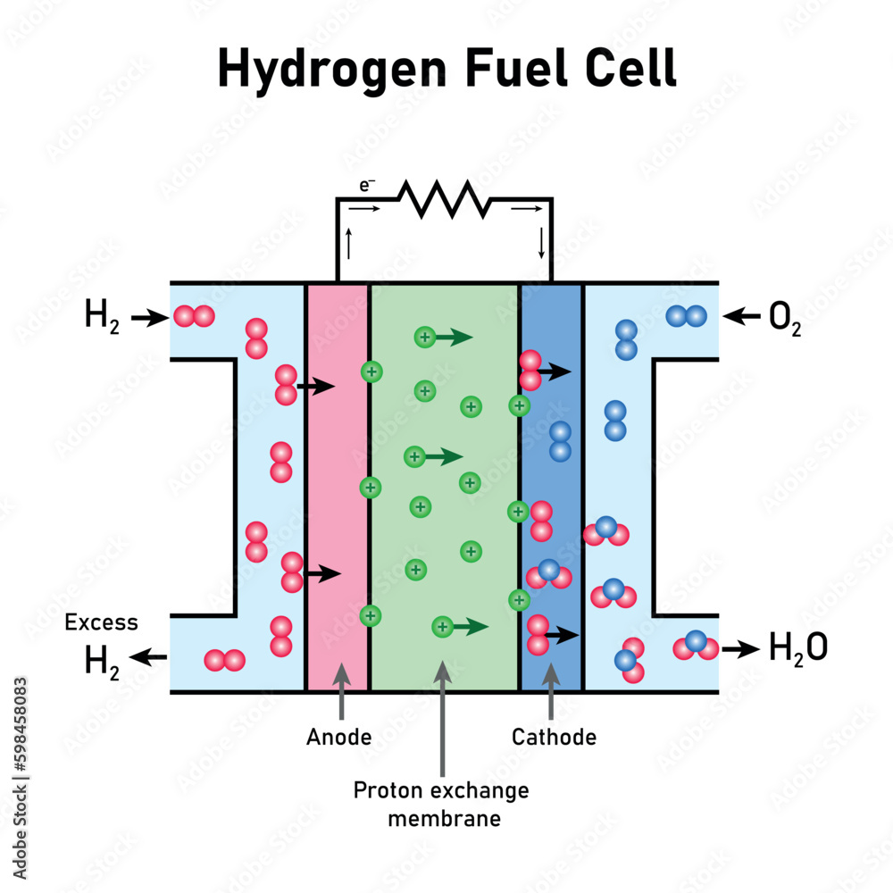 Schematic diagram of hydrogen fuel cell. Electrochemical cell. Vector ...