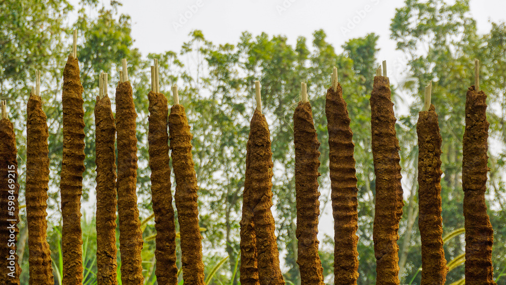Handmade cow dung stick. Dry sticks of dung are used in cooking. Stock ...