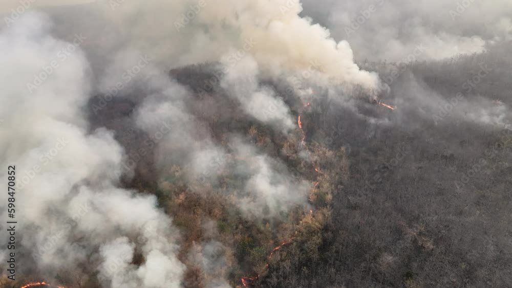 Climate change, Wildfires release carbon dioxide (CO2) emissions and ...