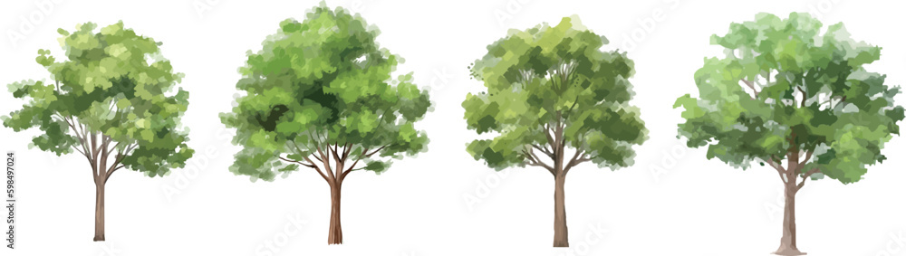 Green tree vector watercolor isolated on white background for landscape ...