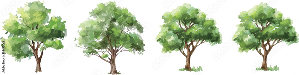 Green tree vector watercolor isolated on white background for landscape ...