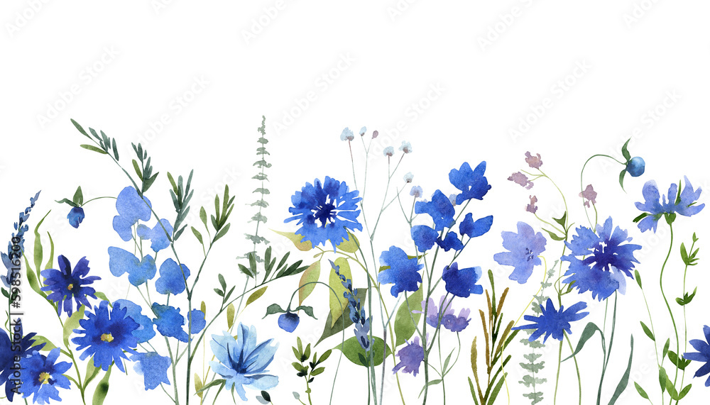 Watercolor blue wildflowers seamless border, Botanical liiustration ...