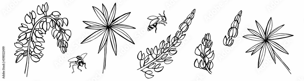 line art, set of flowers with leaves and bee, border with part of plant ...