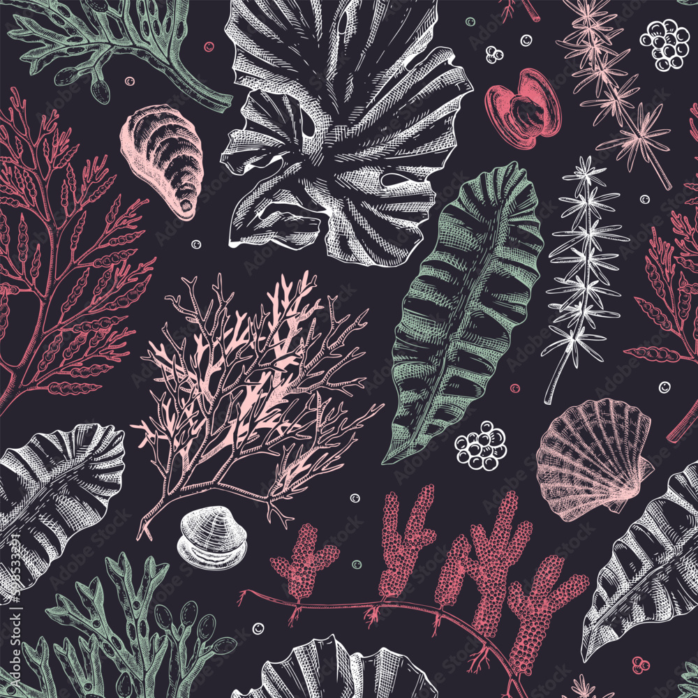 Sea life background. Edible seaweed seamless pattern. Hand-drawn kelp ...
