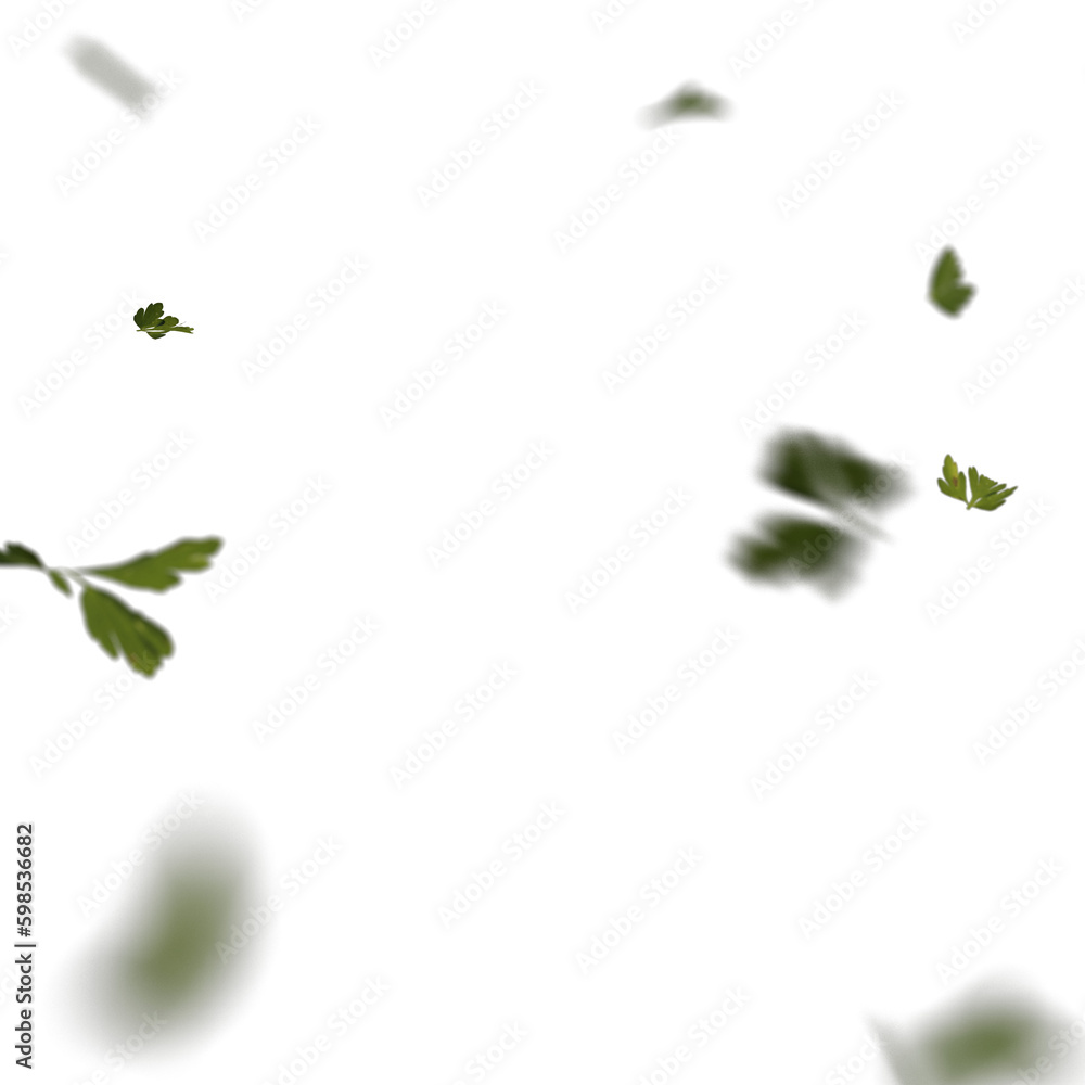 parsley or cilantro leaves flying on a transparent background. Plants ...