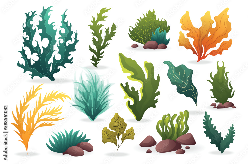 Algae set. A set of flat, cartoon-style designs featuring various types ...