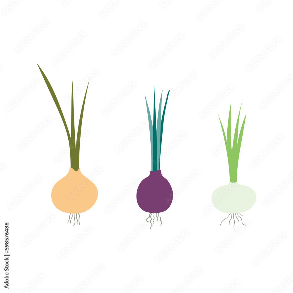 Multi-color onions hand drawn illustration. Cartoon style flat design ...
