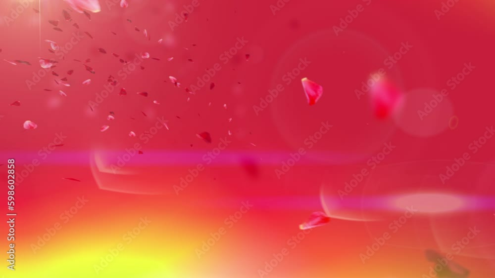 Romantic Rose Petals Background Loop. A Stock Motion Graphics romantic ...