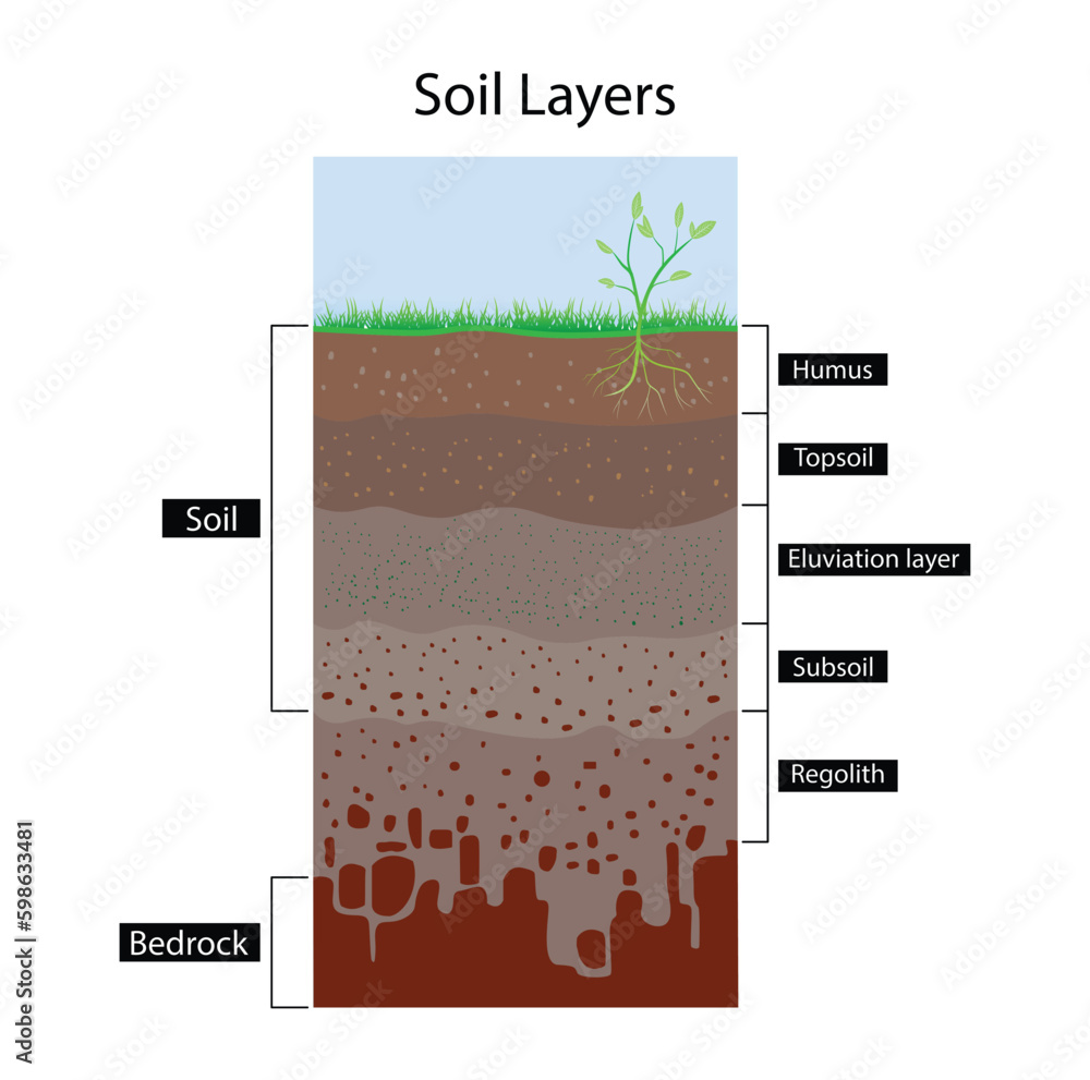 illustration of physics,Soil layer infographics, Geology soil layer and ...