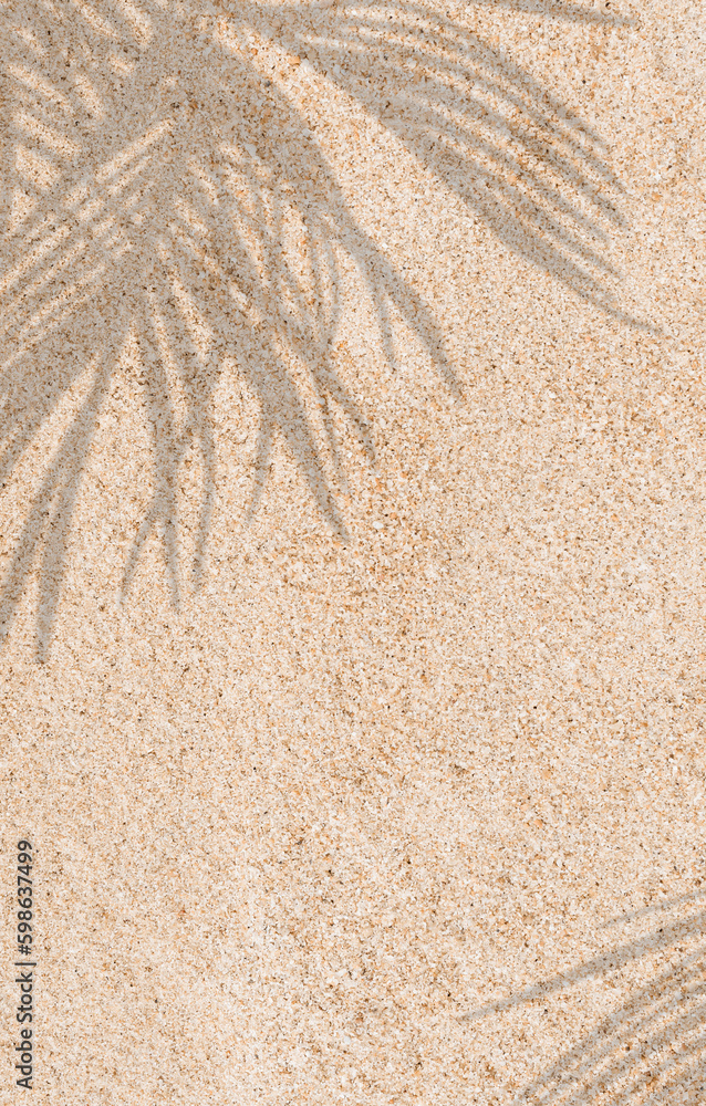 Sand Texture Background with Coconut Palm leaves Shadow, Nature Beach ...