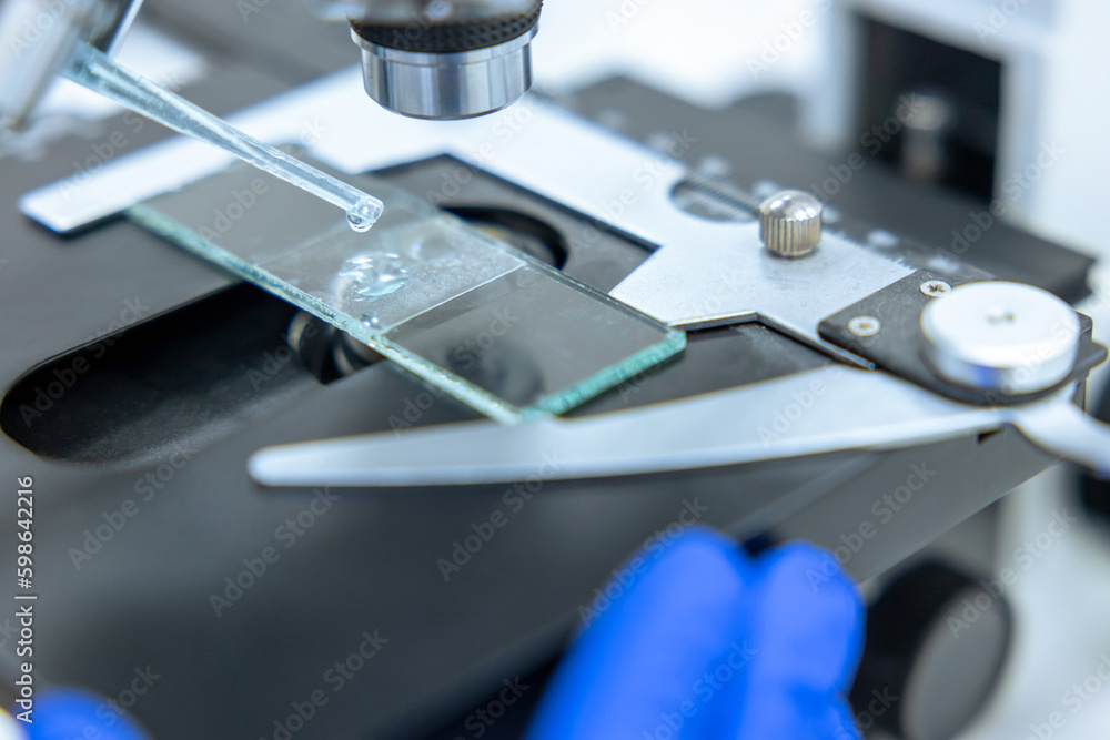 Microscope with chemical tube and glassware in laboratory, Science ...