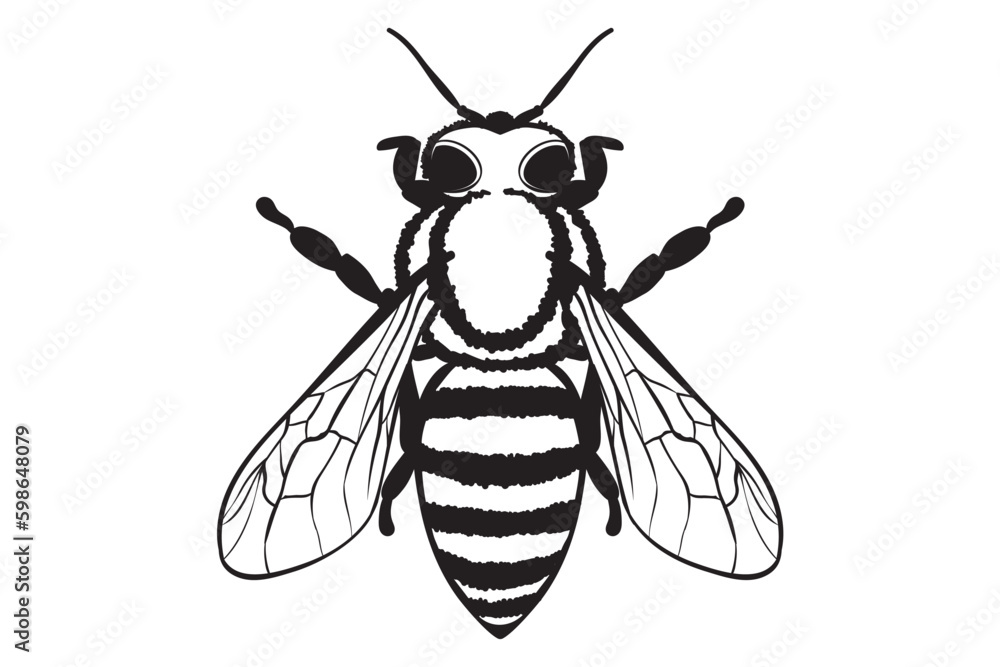 Bee SVG, Honeybee Svg, Queen Bee svg, Handwritten Bee Svg, Bumble Bee ...