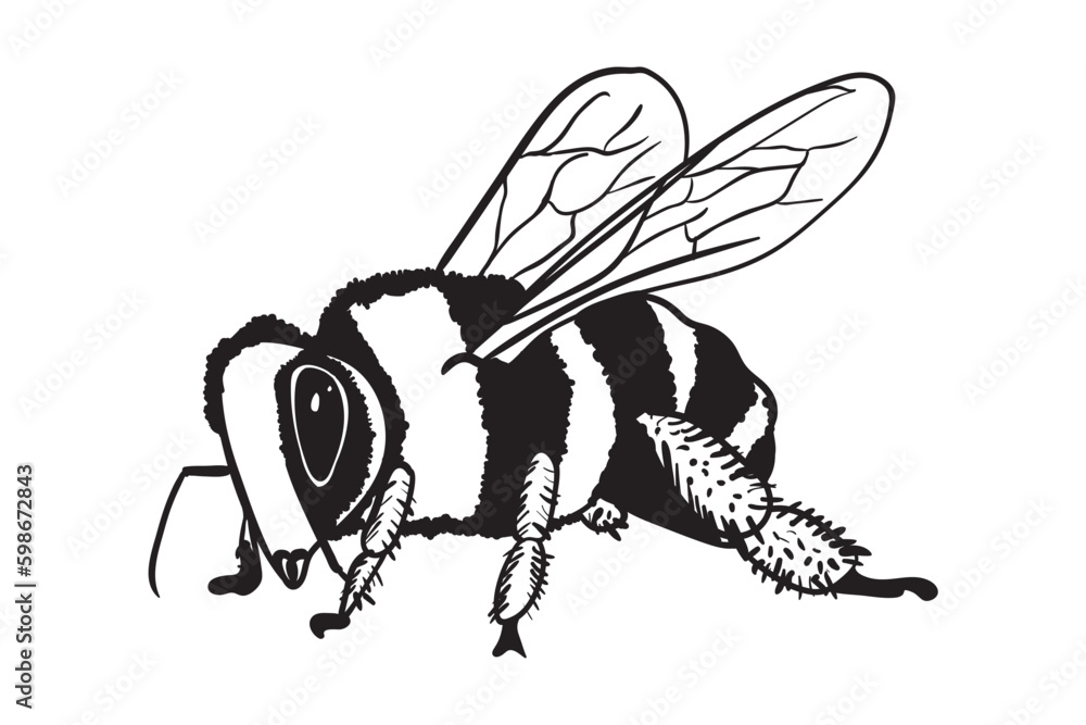 Bee SVG, Honeybee Svg, Queen Bee svg, Handwritten Bee Svg, Bumble Bee ... Bee SVG, Honeybee Svg, Queen Bee svg, Handwritten Bee Svg, Bumble Bee ...