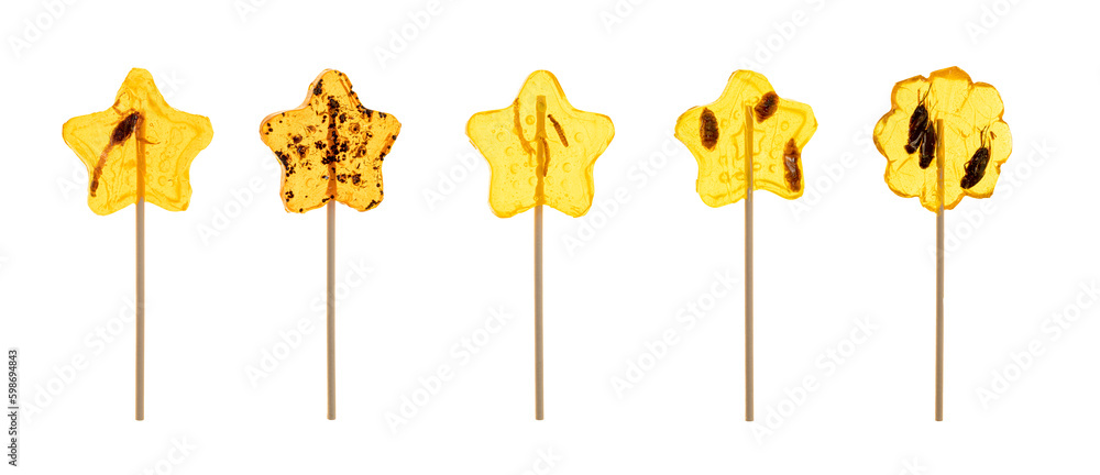 Exotic lollipops stuffed with insects: scorpio; ants, meal worms ...